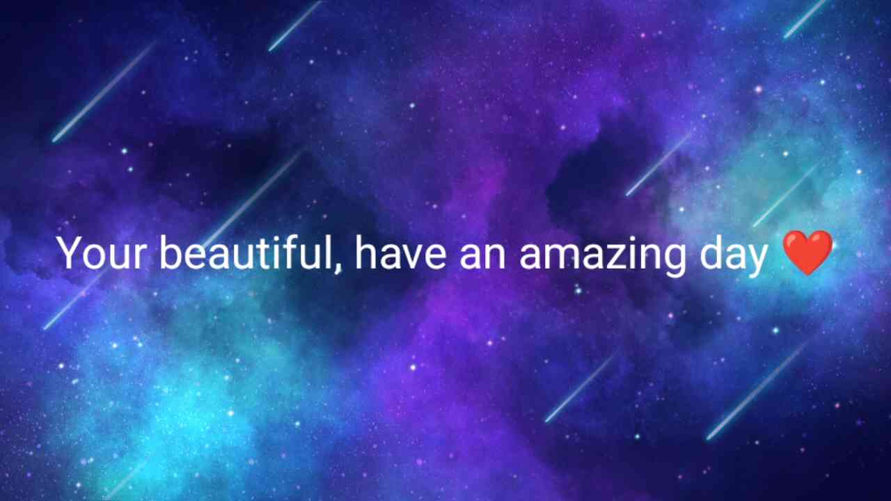 Cat Rainshell 🪻 - KineMaster Templates