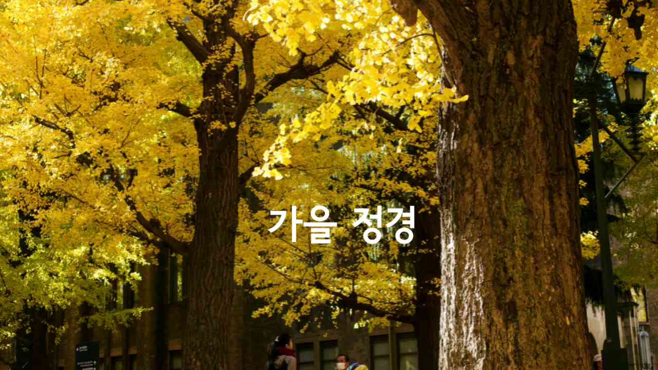 sookyouing - KineMaster Templates