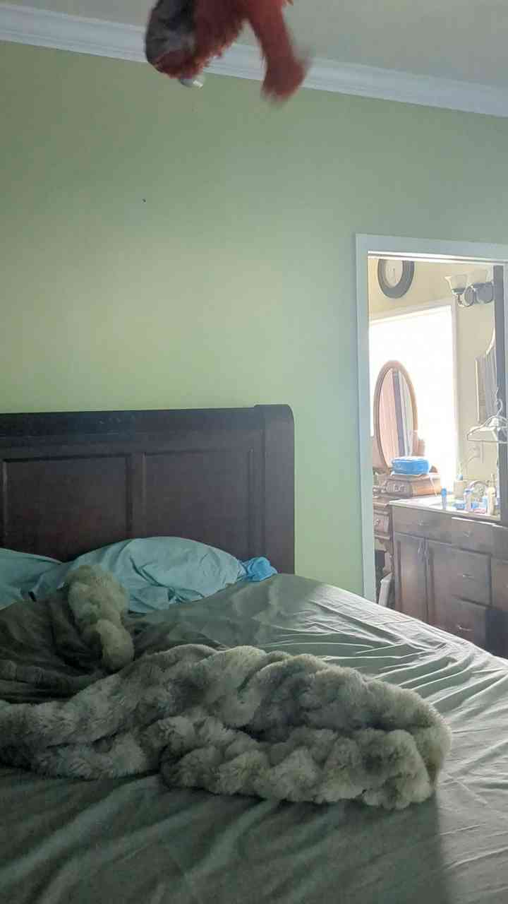 leiabunny13 - KineMaster Templates