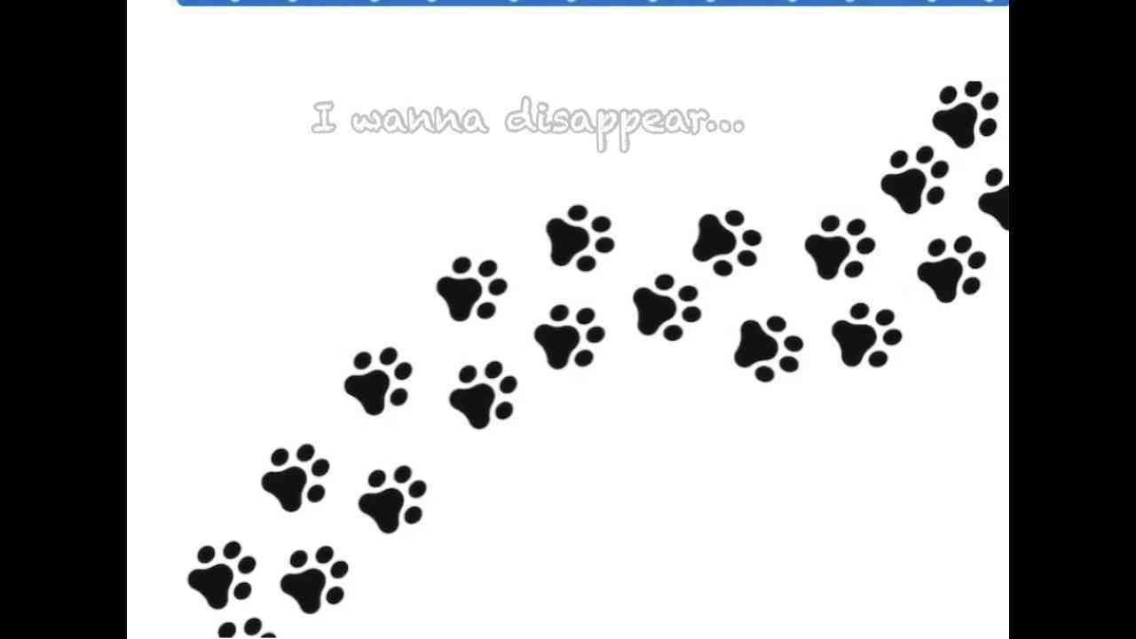 shadow_on_paws - KineMaster Templates