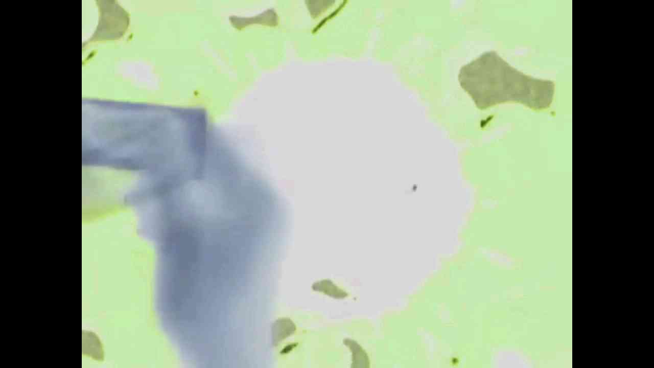 Simb G Major 33 - KineMaster Templates