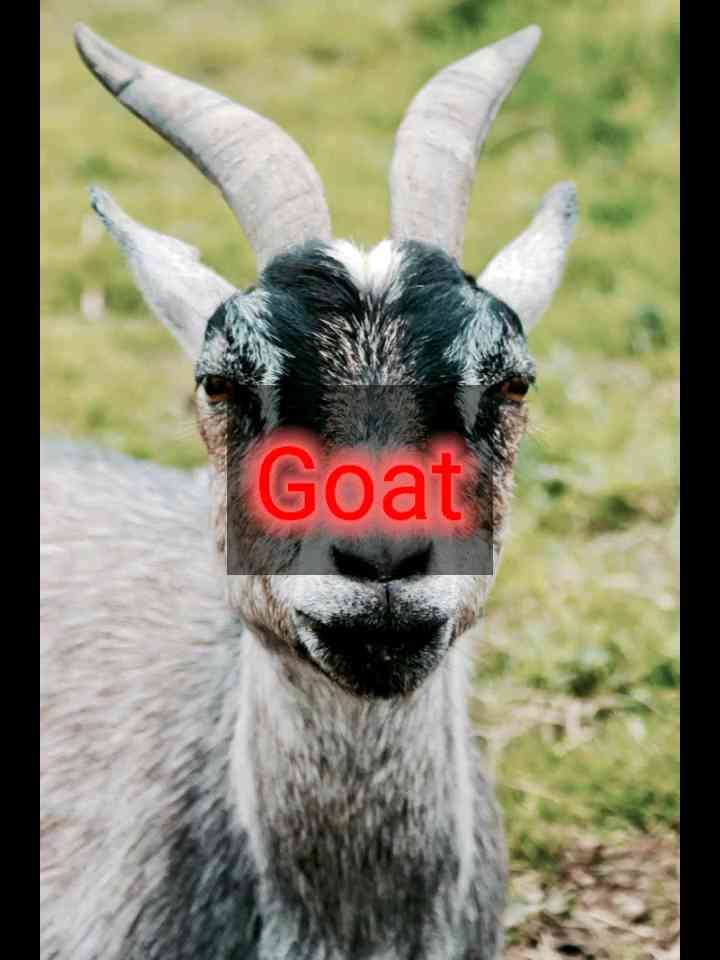 Super goat edit! - KineMaster