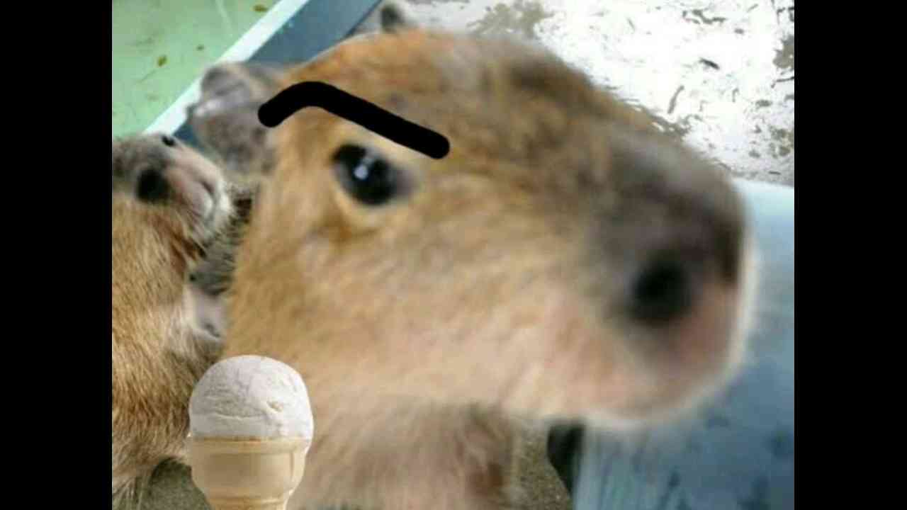 heitorperez - KineMaster Templates