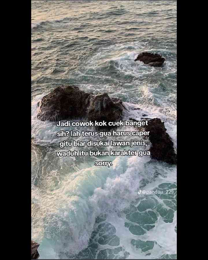 japra111 - KineMaster Templates