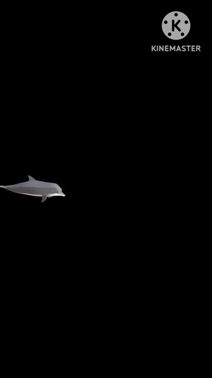 STAR ⭐️ - KineMaster Templates