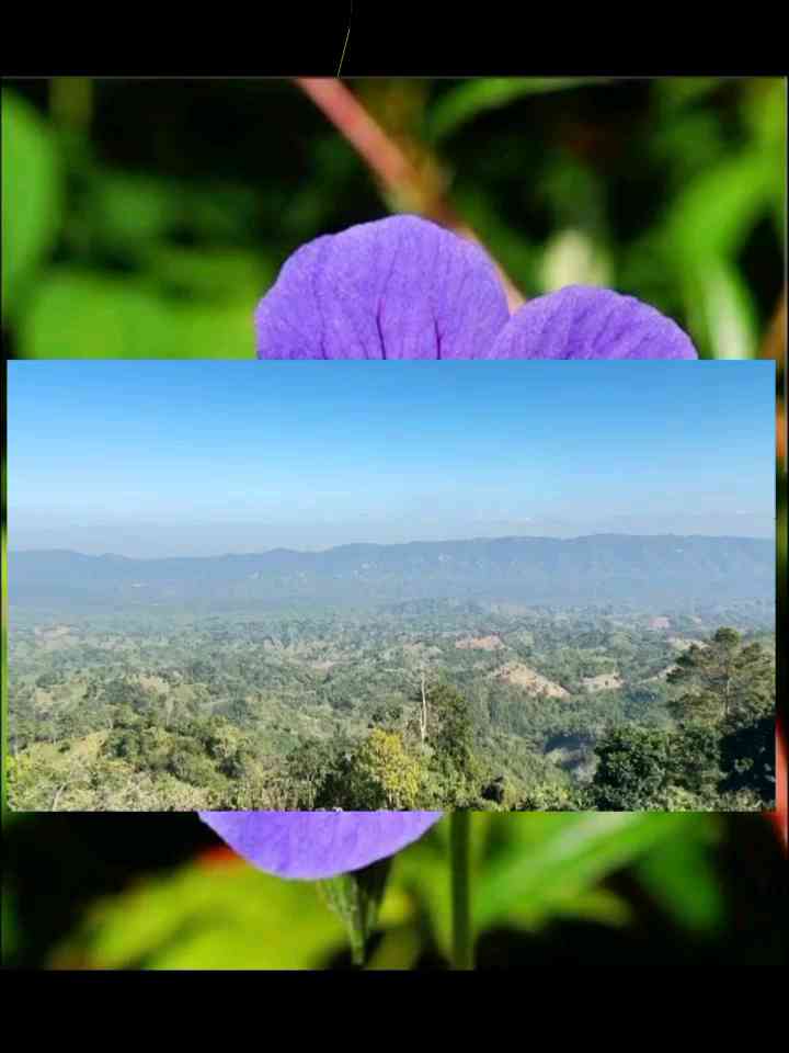 surjo_sarkar - KineMaster Templates